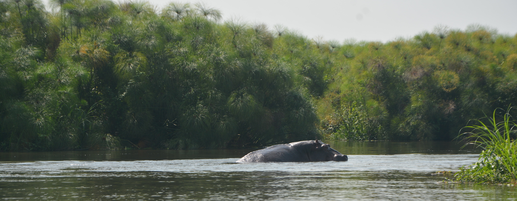 South Sudan Sud Swamp and cultural Tour